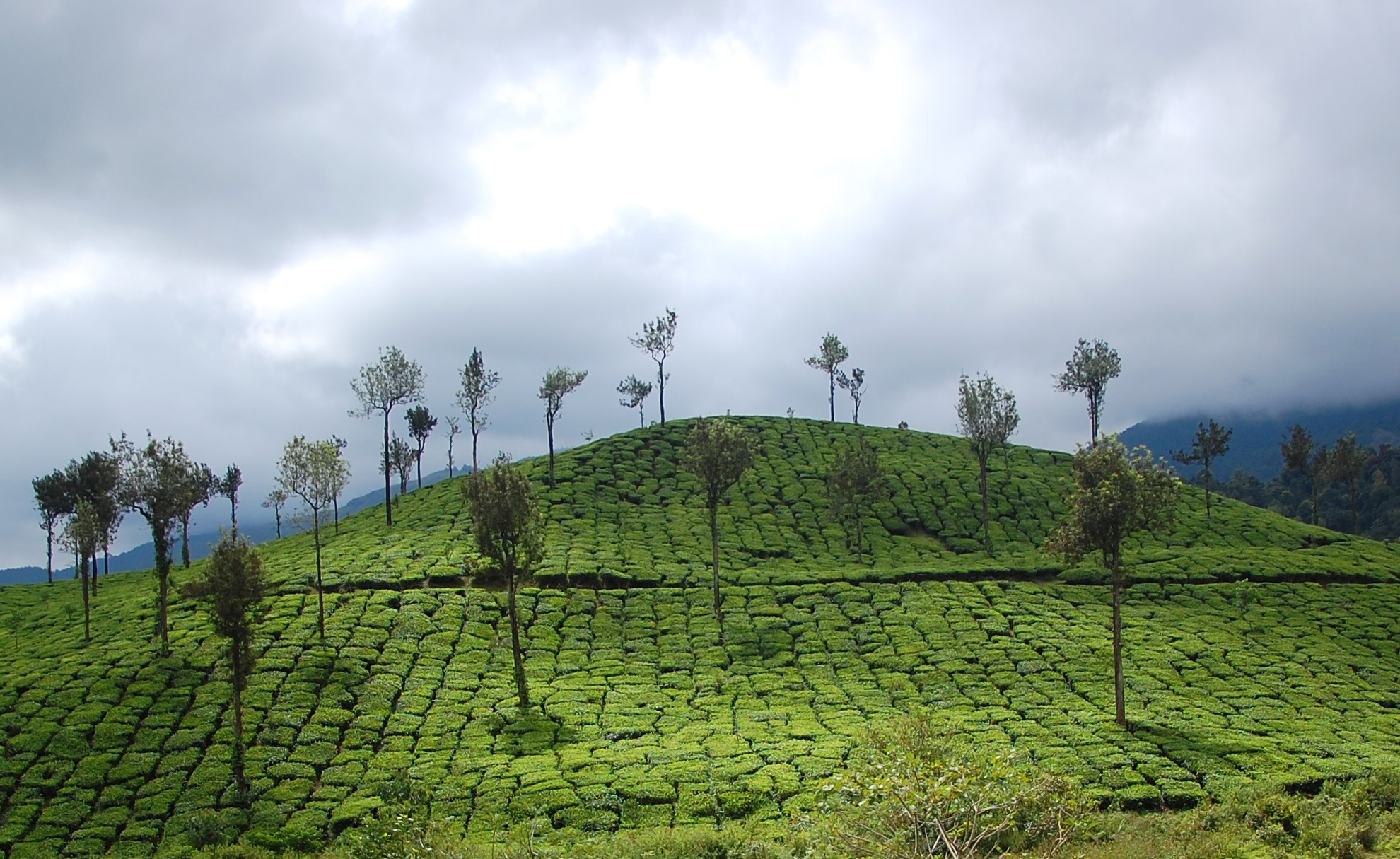 Places to visit in Wayanad in 2 days - Raindrops Resort