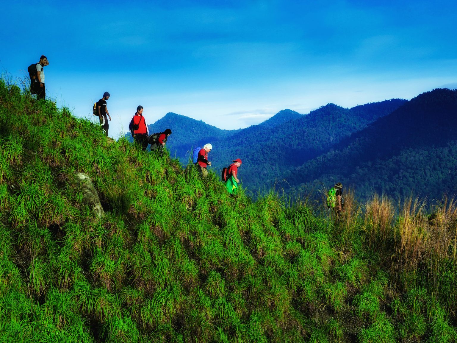 Best Corporate Outing Resorts for Team Building | Raindrops Wayanad